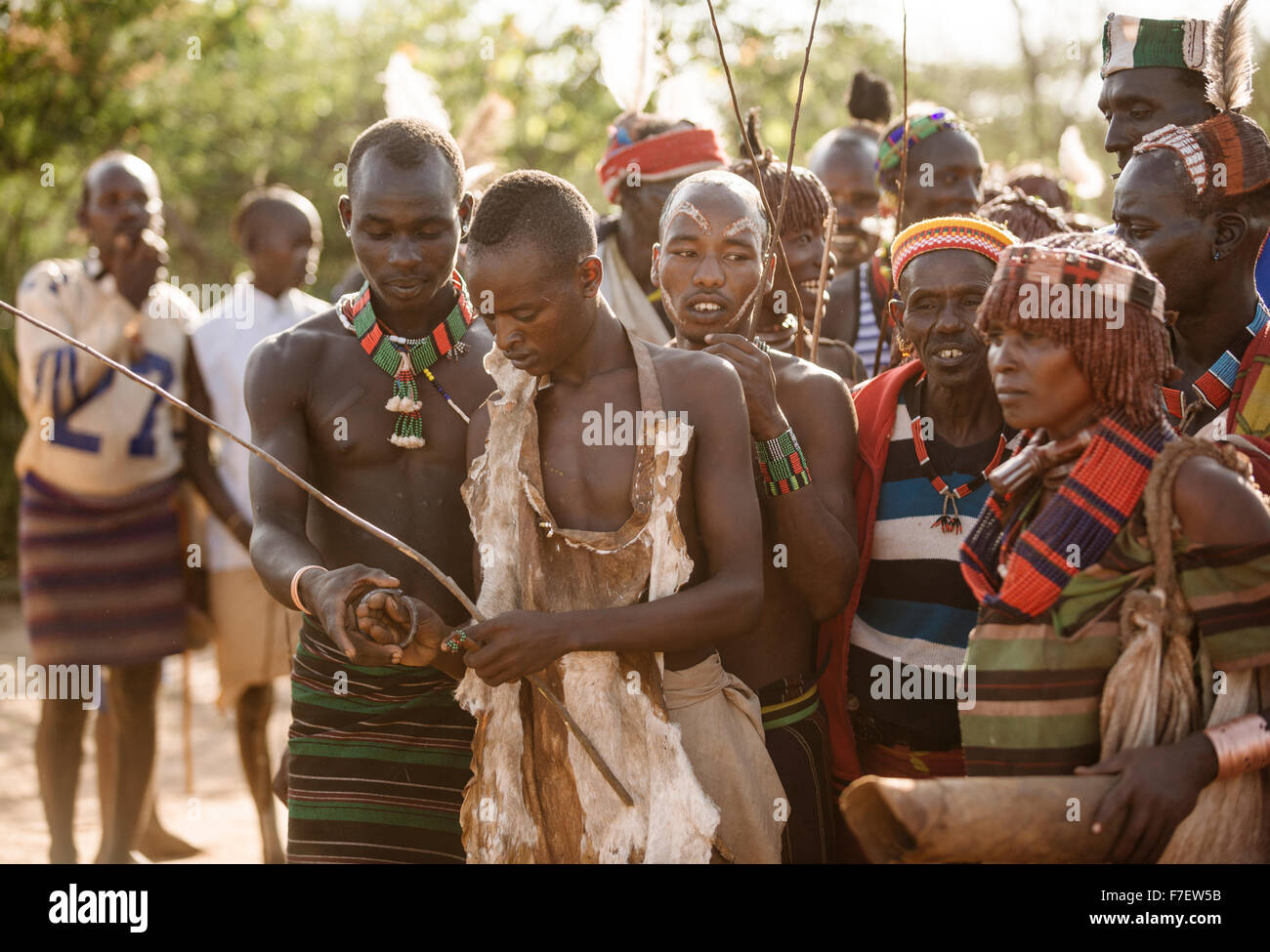 Jumping of the Bulls Ceremony, Hamar Tribe, Turmi, Omo Valley, Ethiopia ...