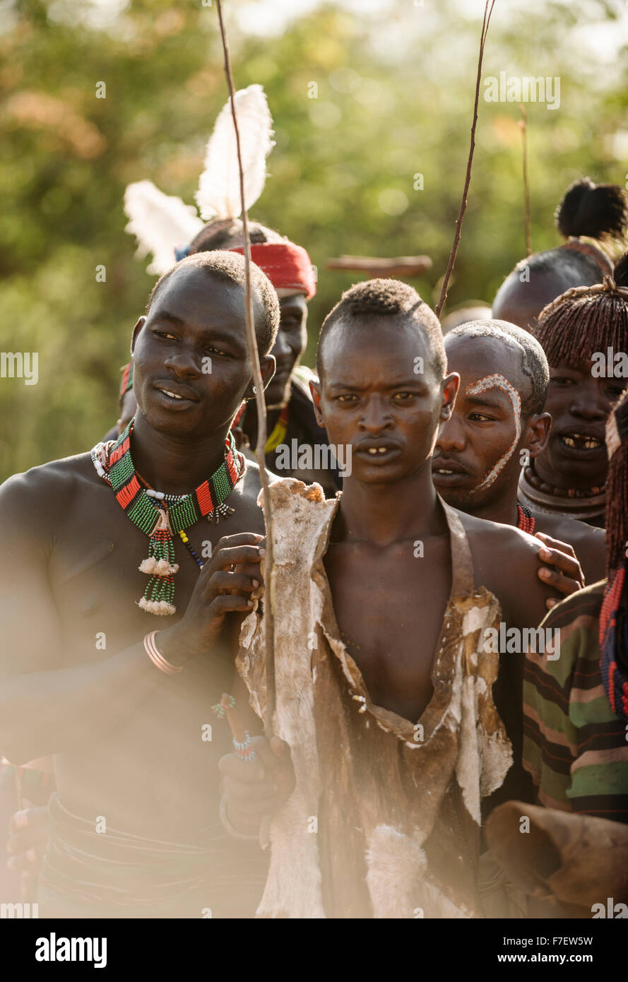 Jumping of the Bulls Ceremony, Hamar Tribe, Turmi, Omo Valley, Ethiopia ...