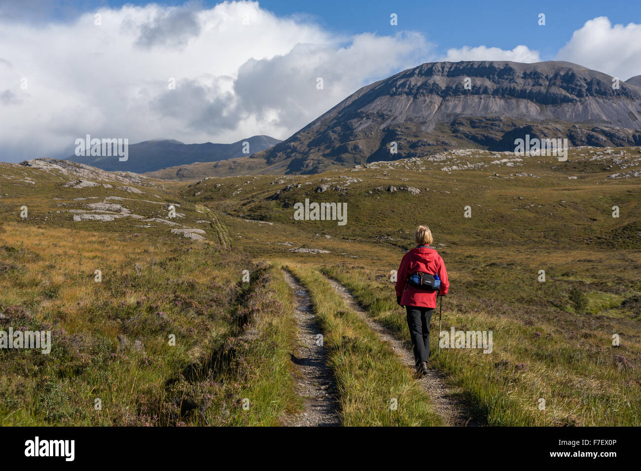 A hill walker approaching Arkle in Sutherland Scotland Stock Photo - Alamy