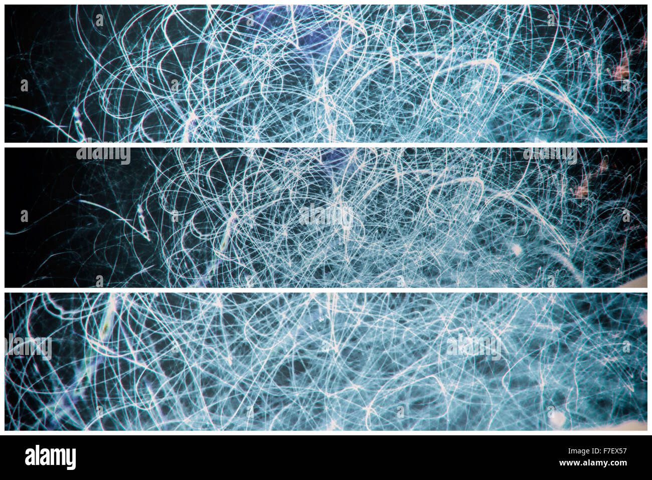 Lightpainting triptych in horizontal format using vibrant funky colour ...