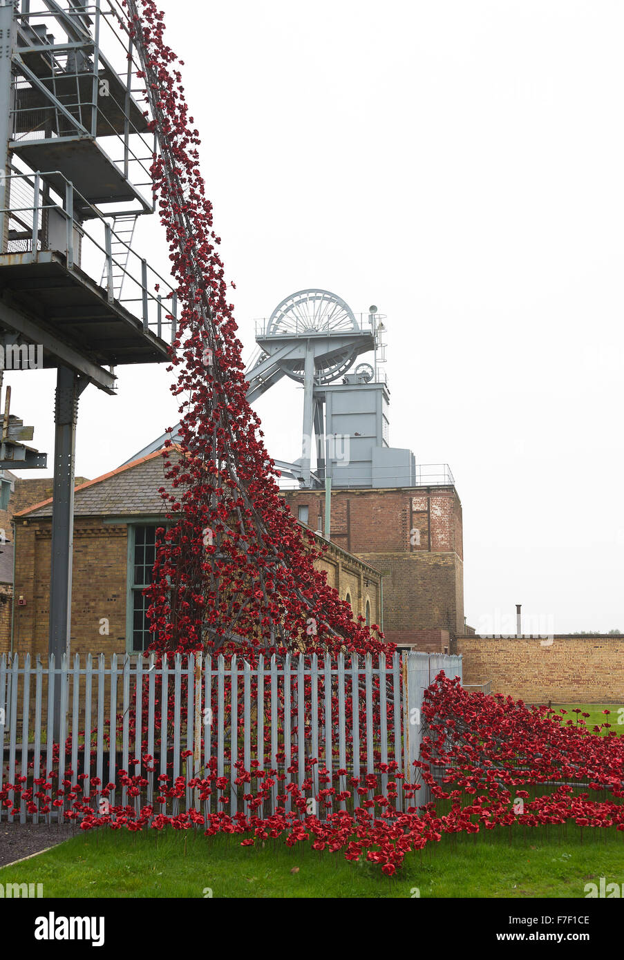 The Cascade of Ceramic Red Poppies at Woodhorn Mining Museum in Memory ...