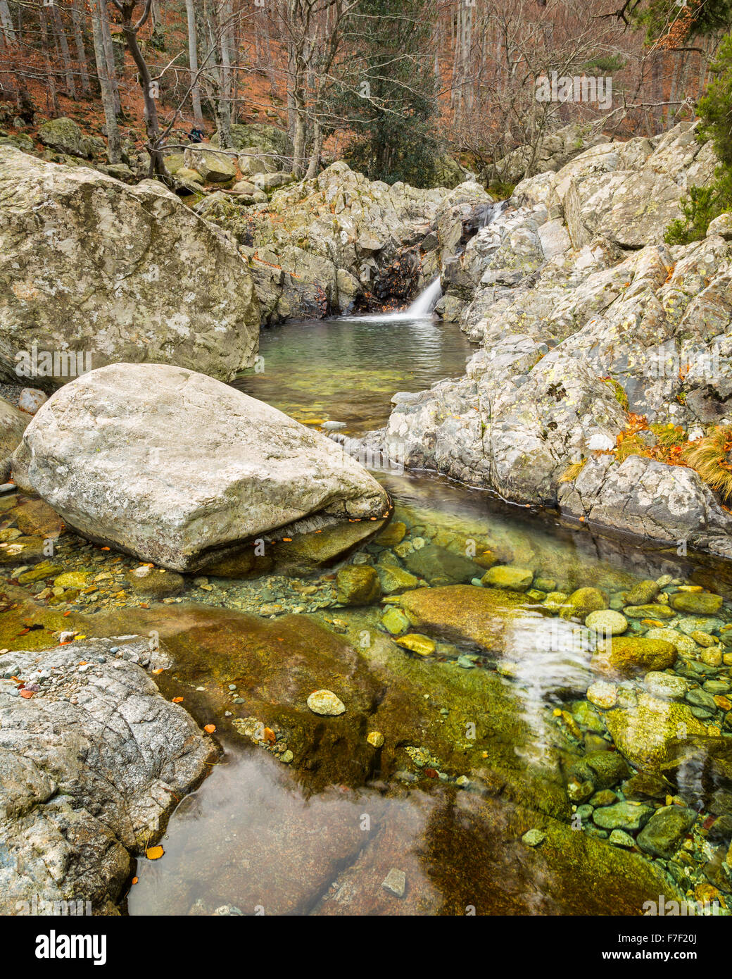 Woodland stream rushing into crystal clear pools in the forest at ...