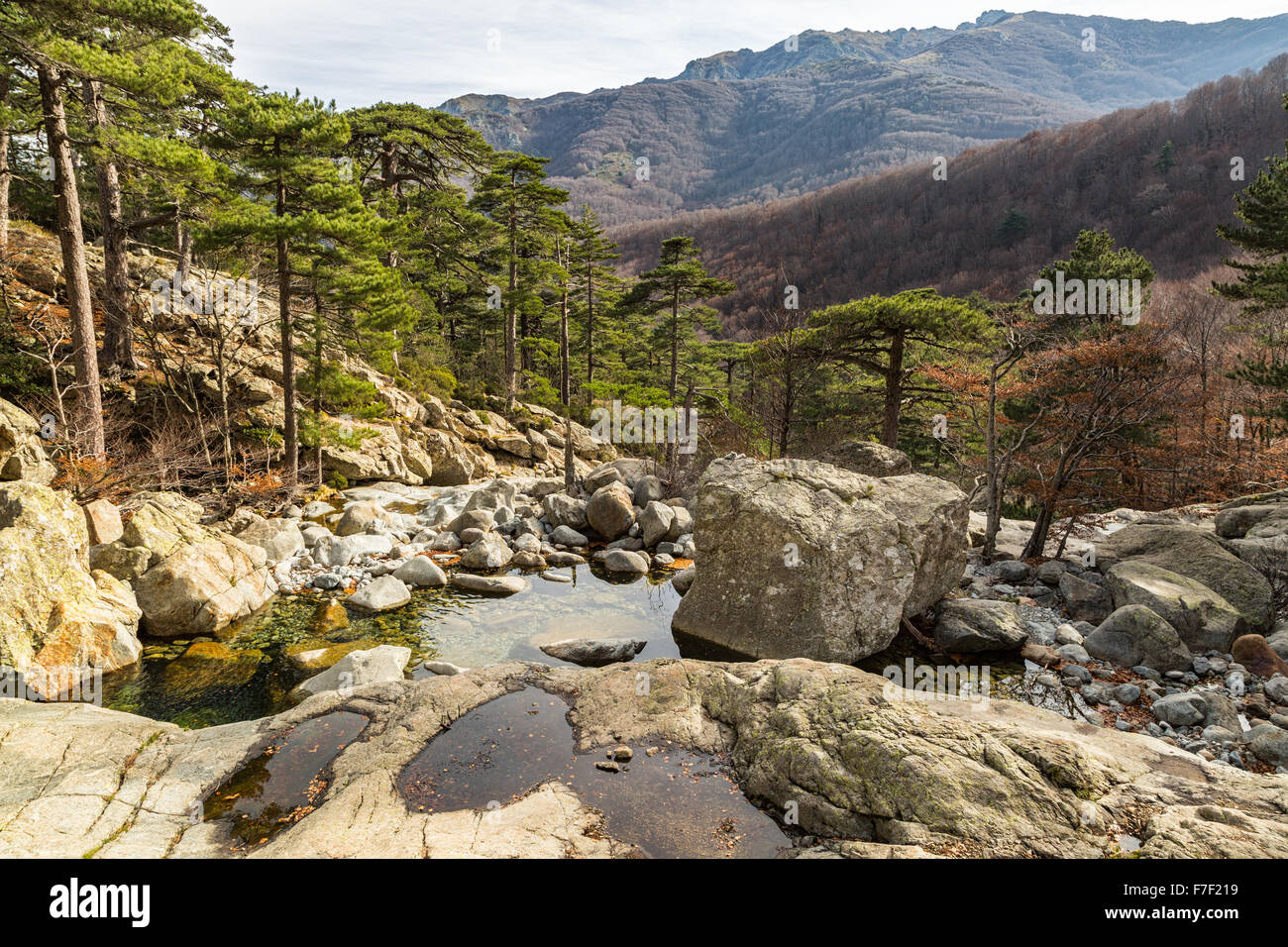 View of stream, trees, boulders and mountains from Cascade des Anglais ...