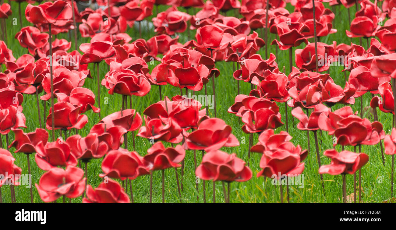 The Cascade of Ceramic Red Poppies at Woodhorn Mining Museum in Memory ...