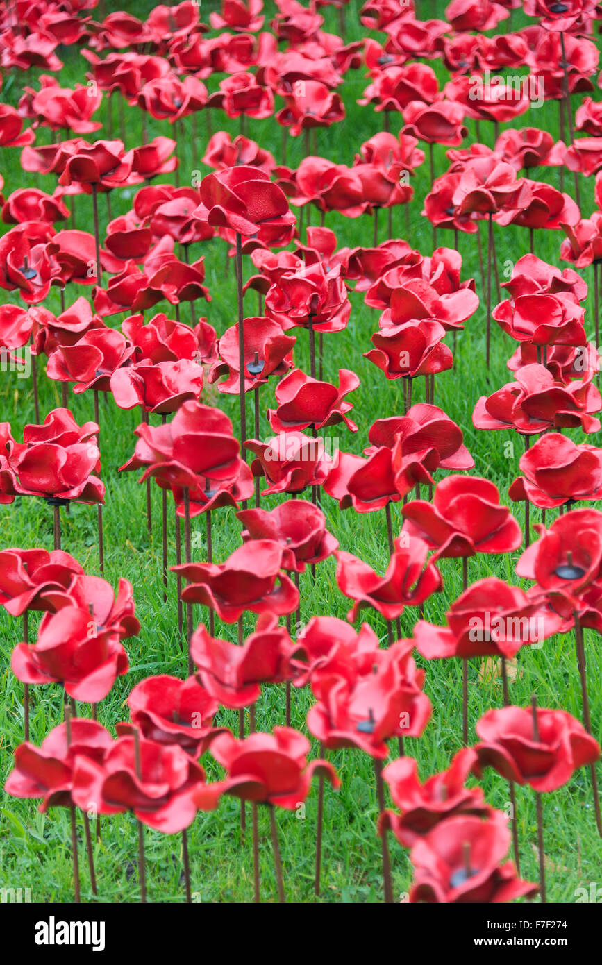 The Cascade of Ceramic Red Poppies at Woodhorn Mining Museum in Memory ...