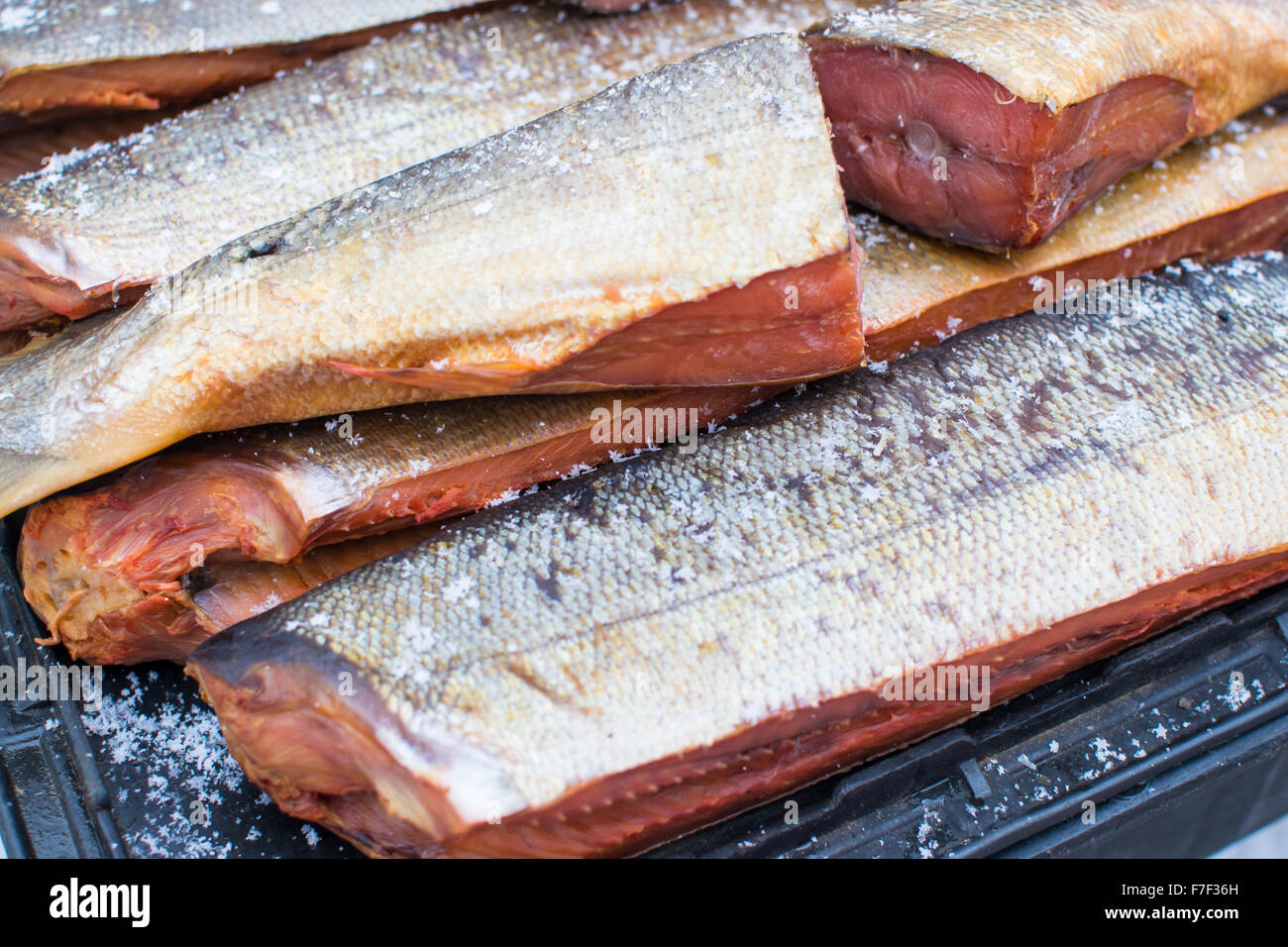 Keta salmon hi-res stock photography and images - Alamy