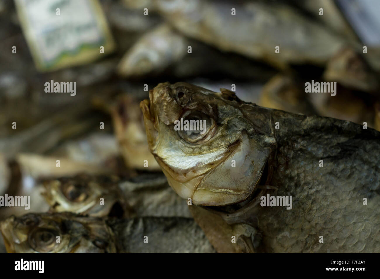 Dried salted fish on display in a local Russian Beer shop. The fish is ...