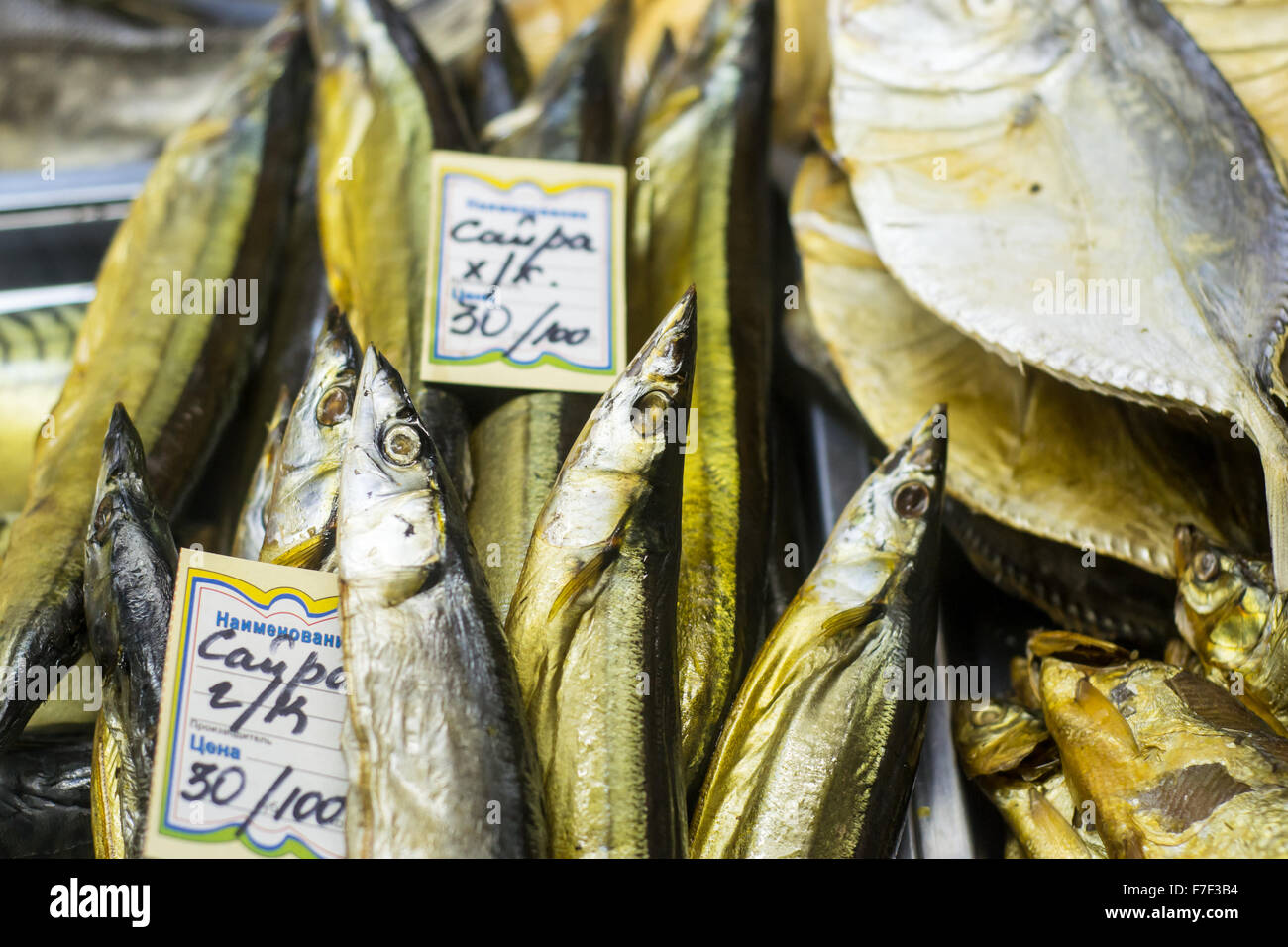 Saira Stock Photos & Saira Stock Images - Alamy