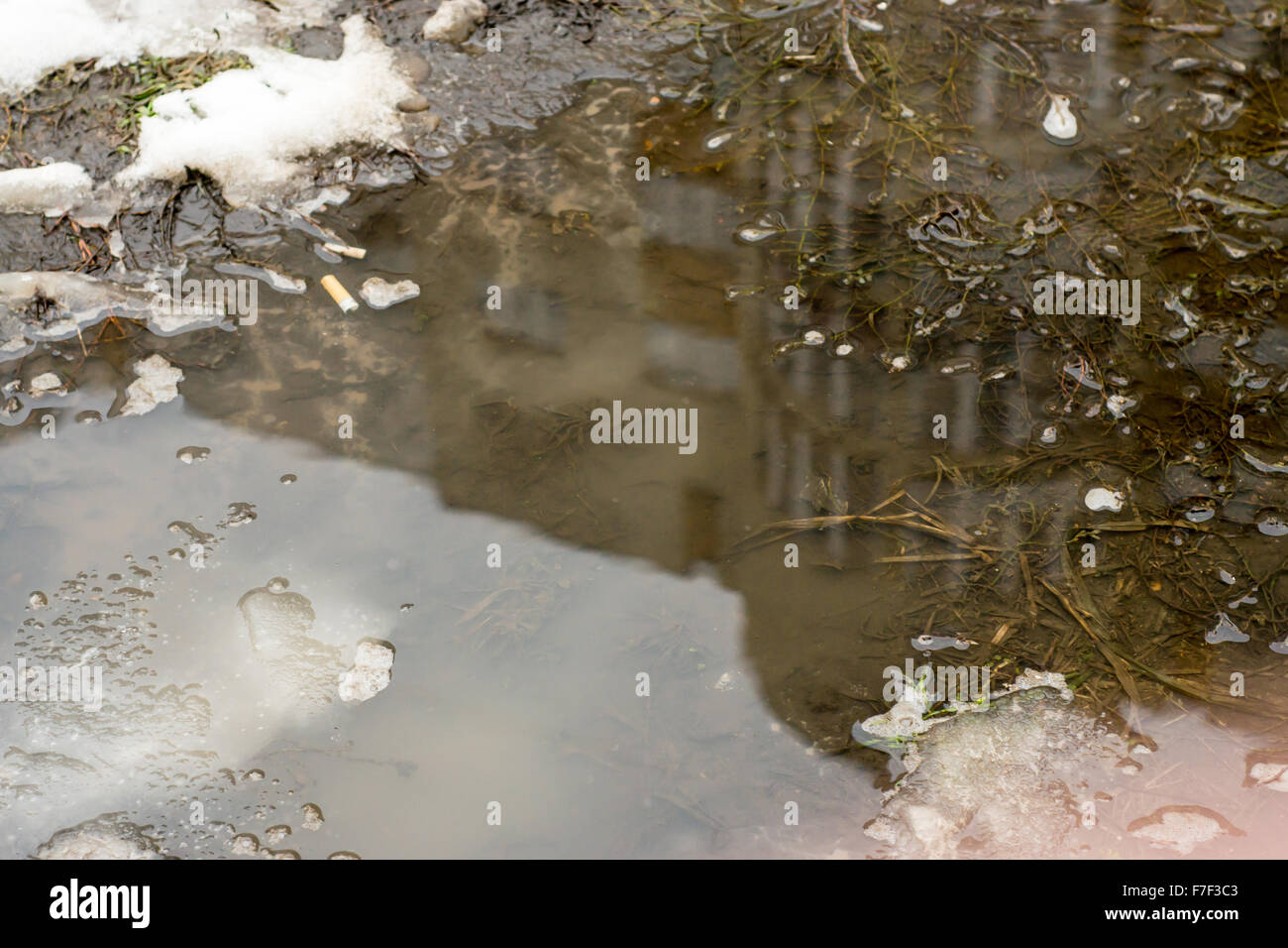 Snowy muddy puddle reflects a tall apartment block as it gathers melted ...