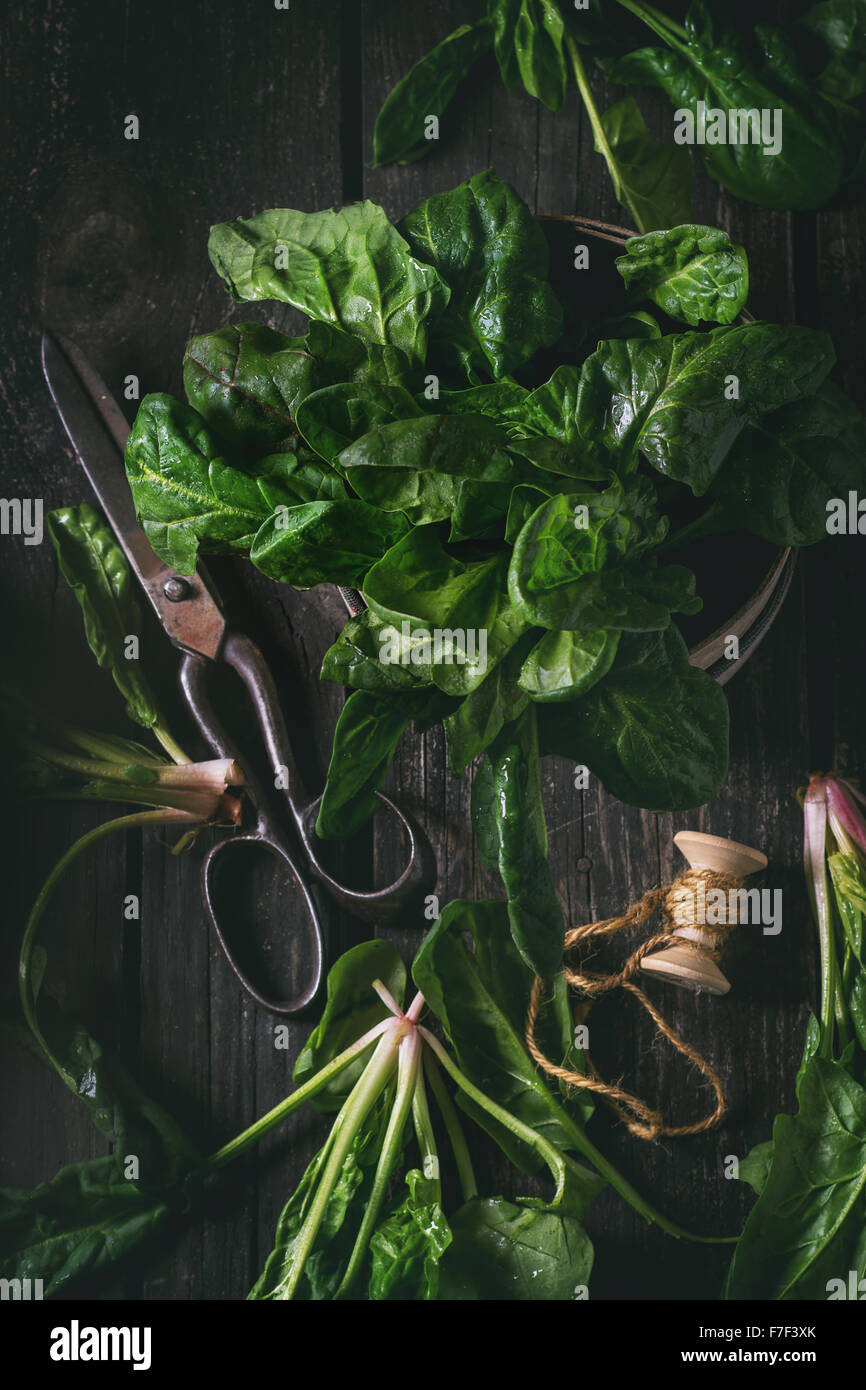 Bunch of fresh spinach Stock Photo - Alamy