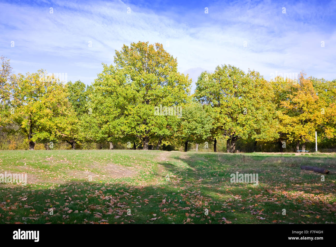 September landscape with trees under cloudy sky Stock Photo - Alamy