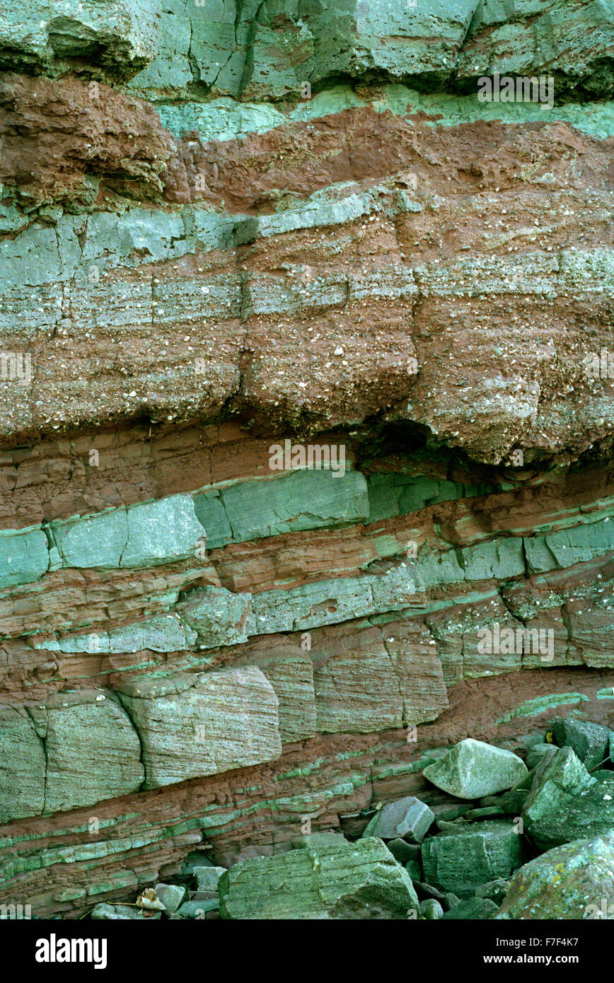 View of the The 'Garden Cliff' at Westbury-on-Severn, Somerset, UK ...