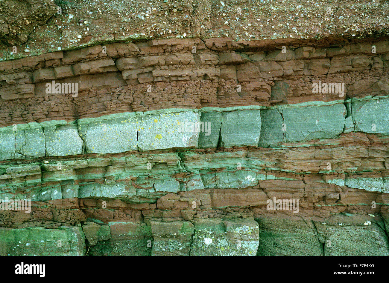 View of the The 'Garden Cliff' at Westbury-on-Severn, Somerset, UK ...