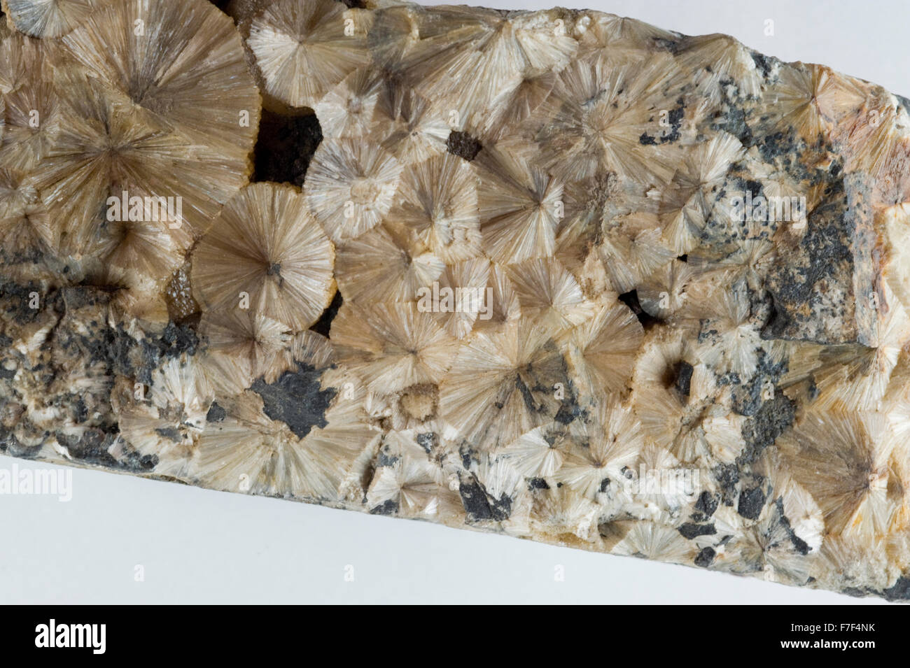 Radial Crystals High Resolution Stock Photography and Images - Alamy