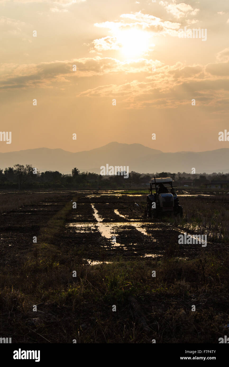 Tractor Prepares Rice Paddy, Agriculture In Thai Stock Photo - Alamy