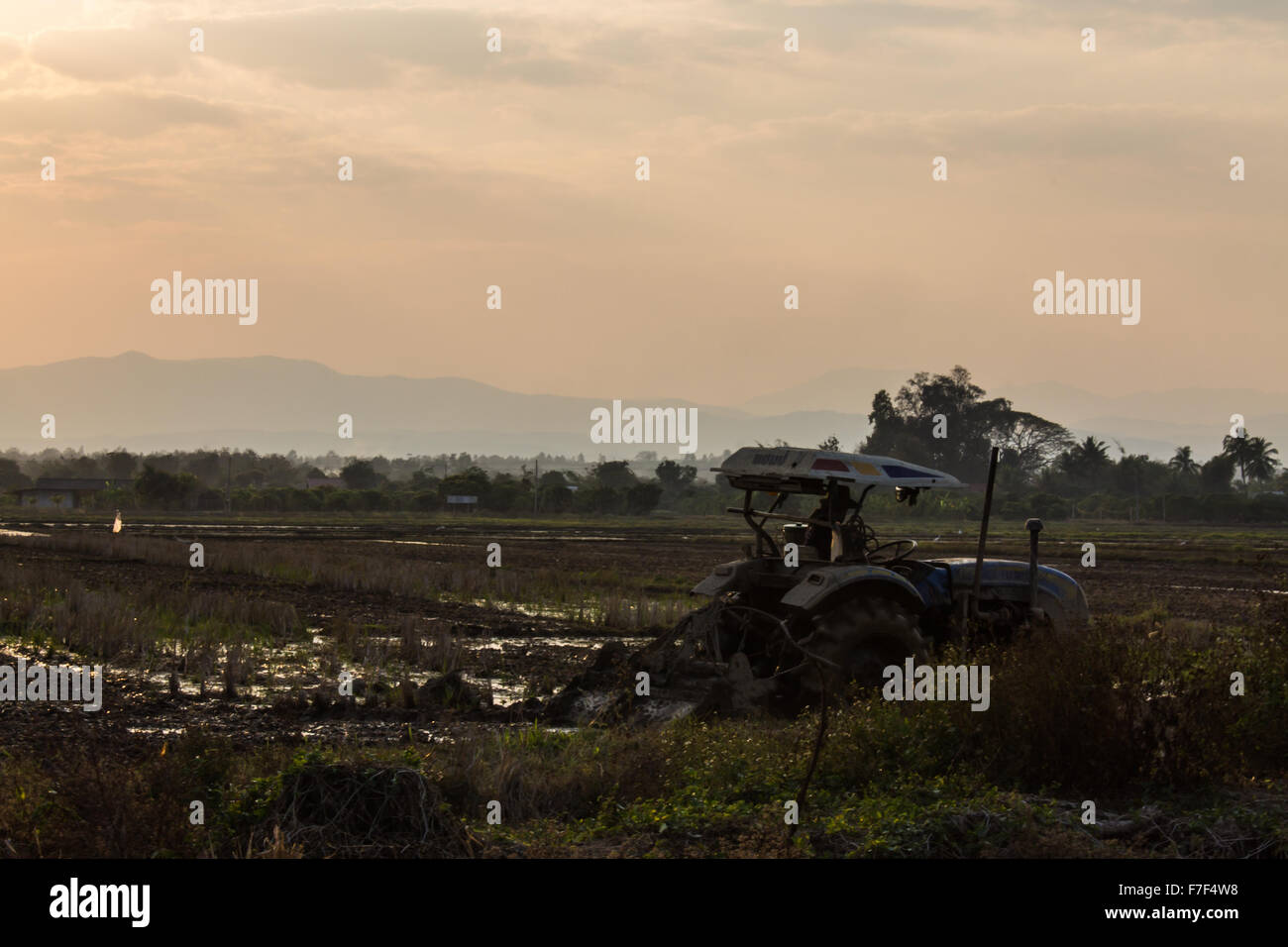Tractor Prepares Rice Paddy, Agriculture In Thai Stock Photo - Alamy