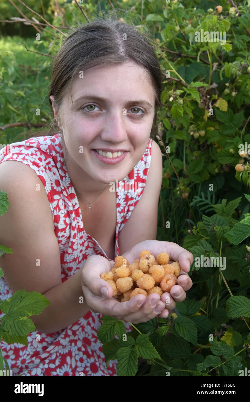 young woman is picking of raspberry in the field Stock Photo - Alamy
