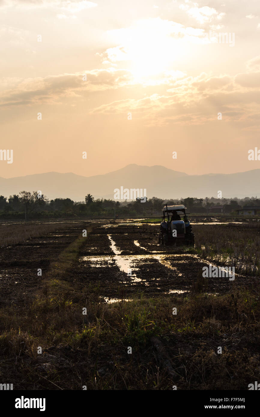 Tractor Prepares Rice Paddy, Agriculture In Thai Stock Photo - Alamy