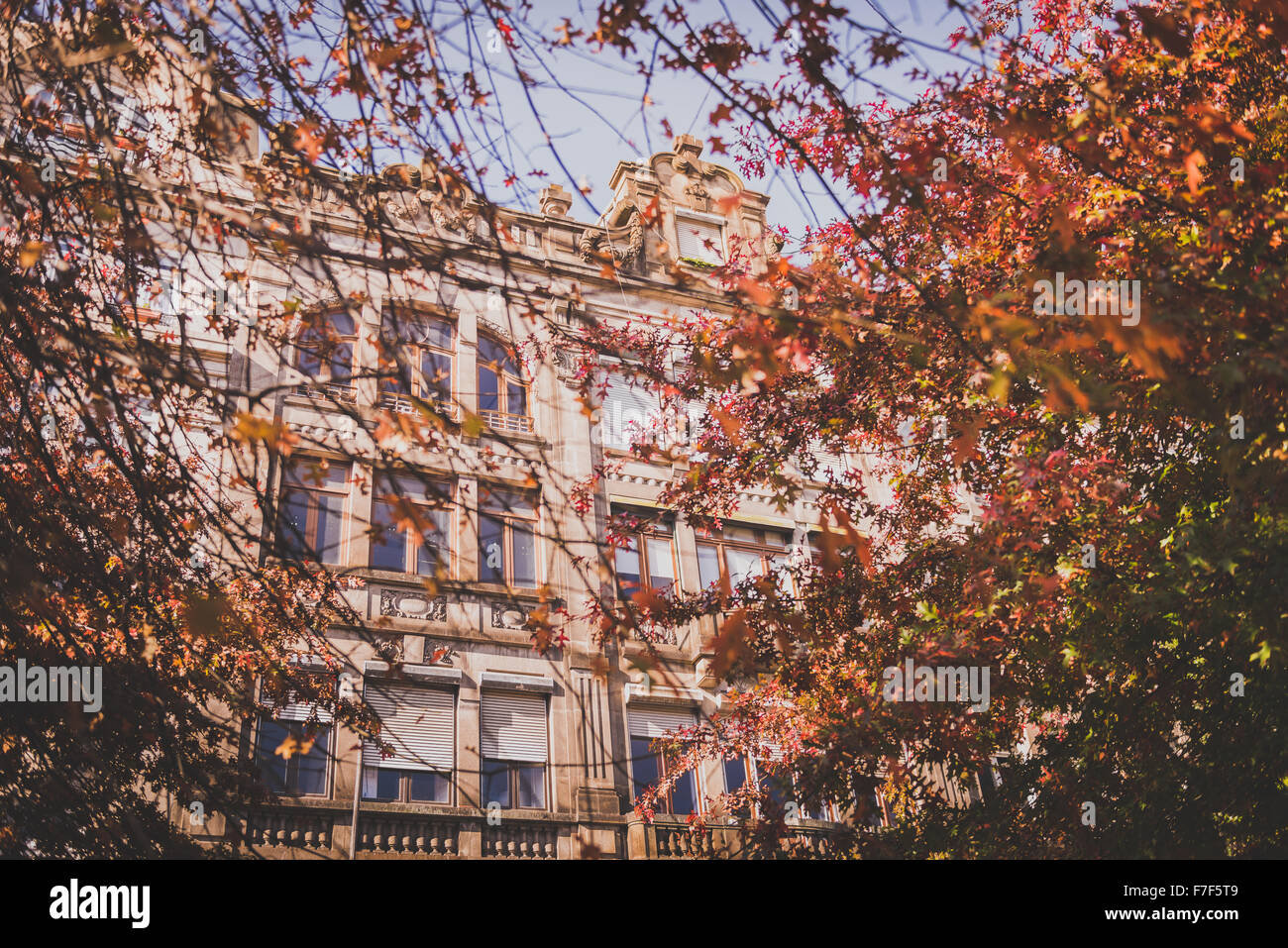 Old building facade through brabches and leaves with autumn colors ...