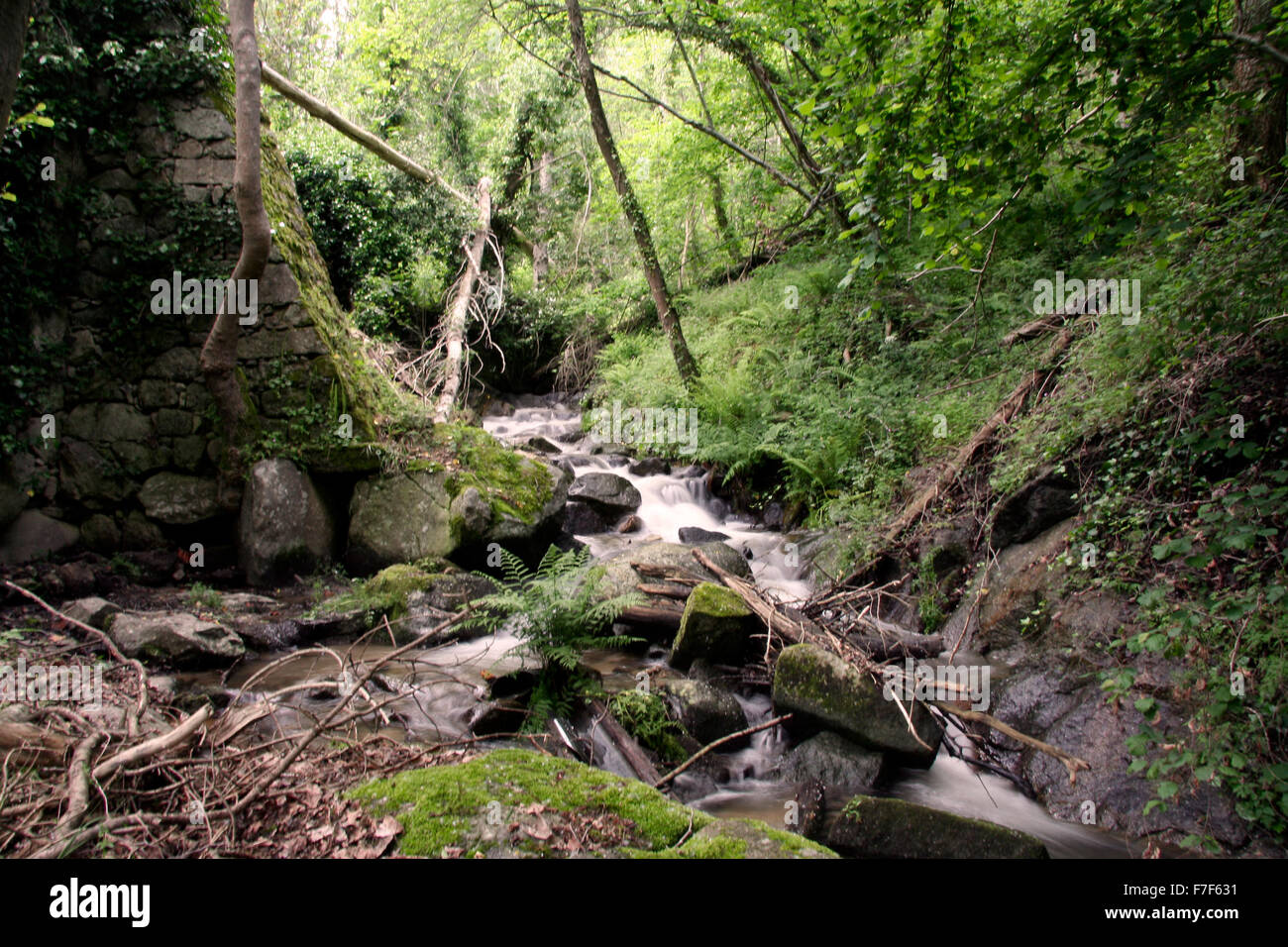 One of many streams of ambroz valley hi-res stock photography and ...