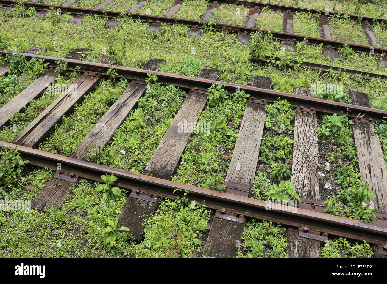 Sri lanka train track hi-res stock photography and images - Alamy
