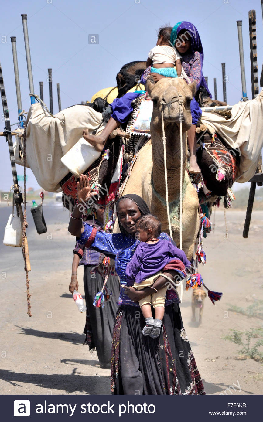 Rabari Women Stock Photos & Rabari Women Stock Images - Alamy