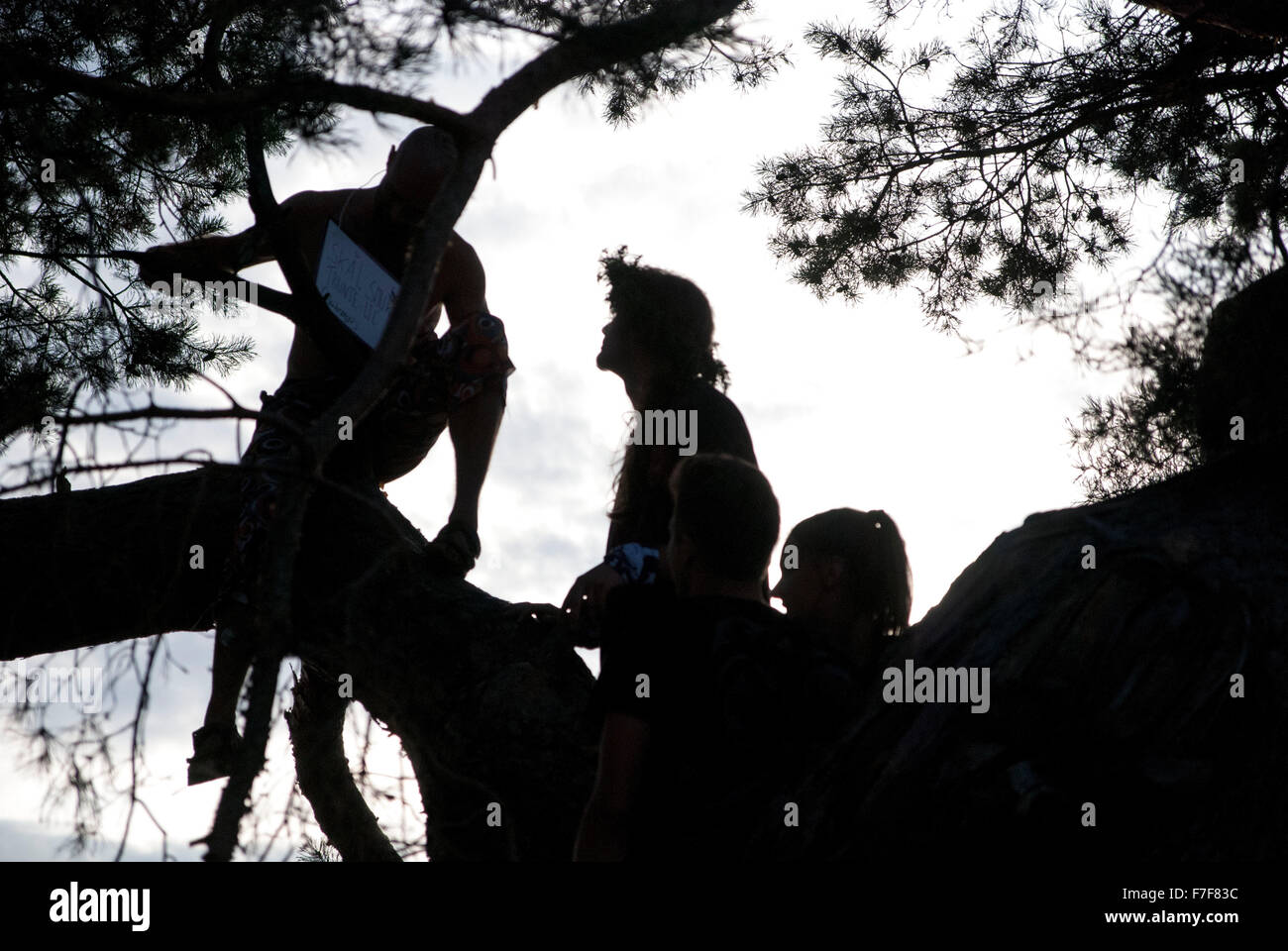 Group of people sitting on tree Stock Photo - Alamy