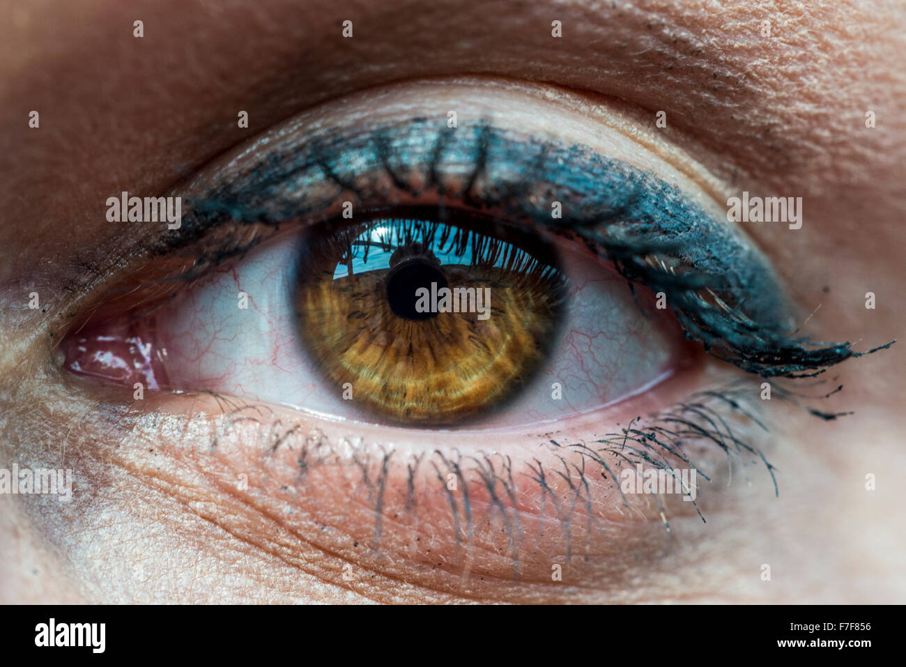 human female eye Stock Photo - Alamy