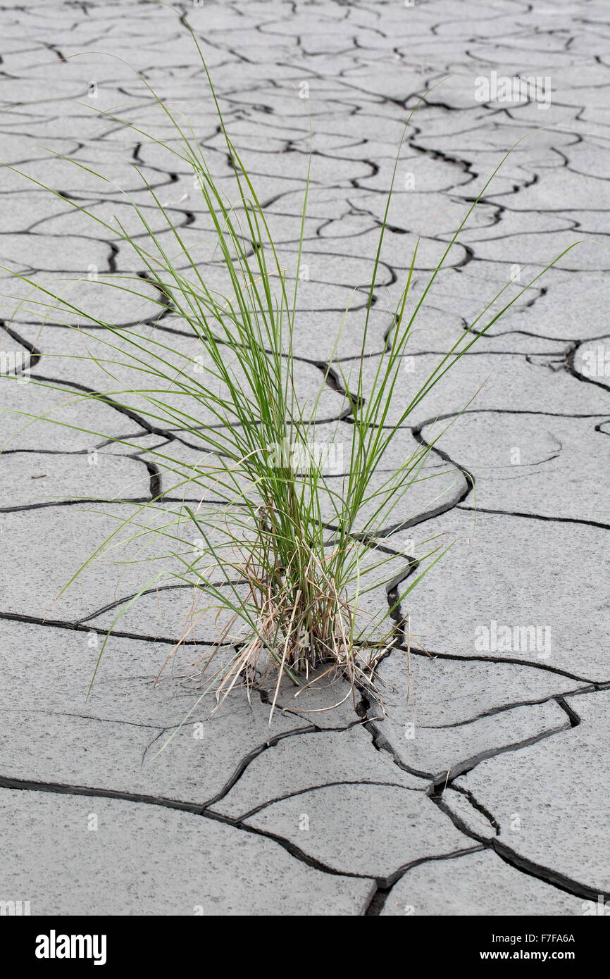 Land and water hi-res stock photography and images - Alamy