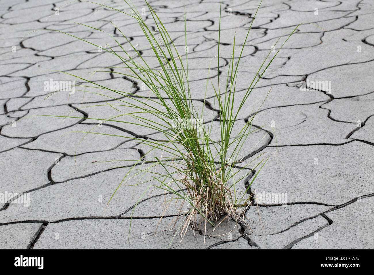 The dry land hi-res stock photography and images - Alamy