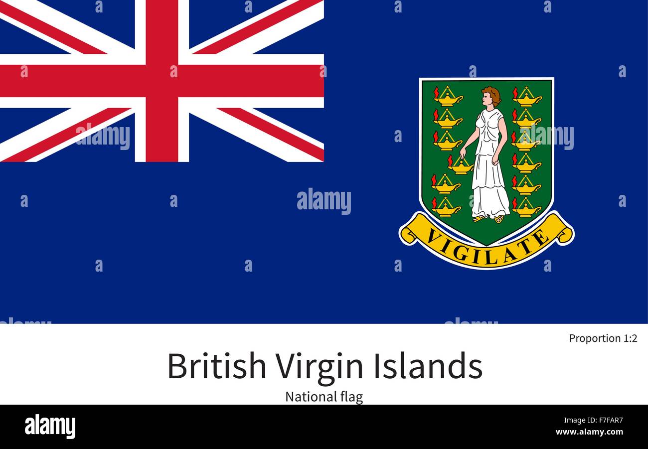 National flag of British Virgin Islands with correct proportions ...