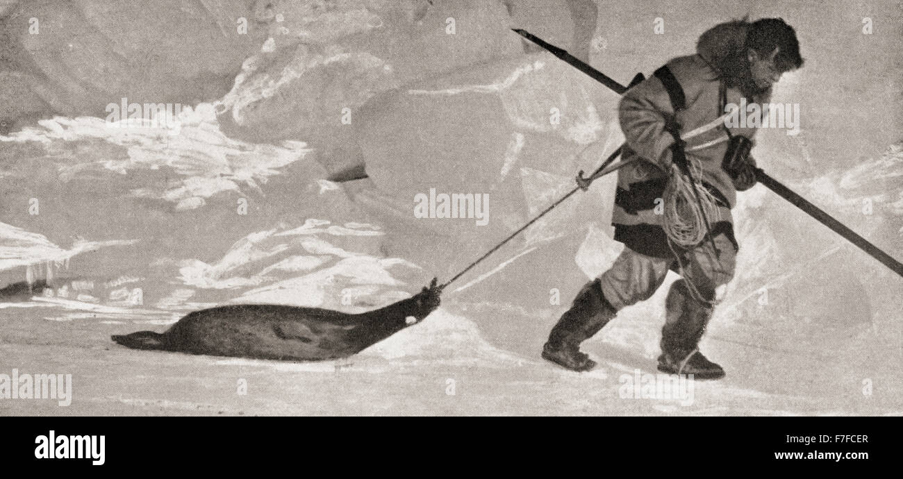 Arctic expedition hi-res stock photography and images - Alamy