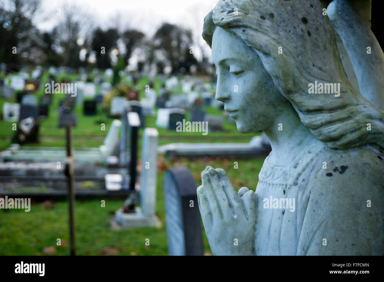 Statue of an Angel in the graveyard Stock Photo - Alamy