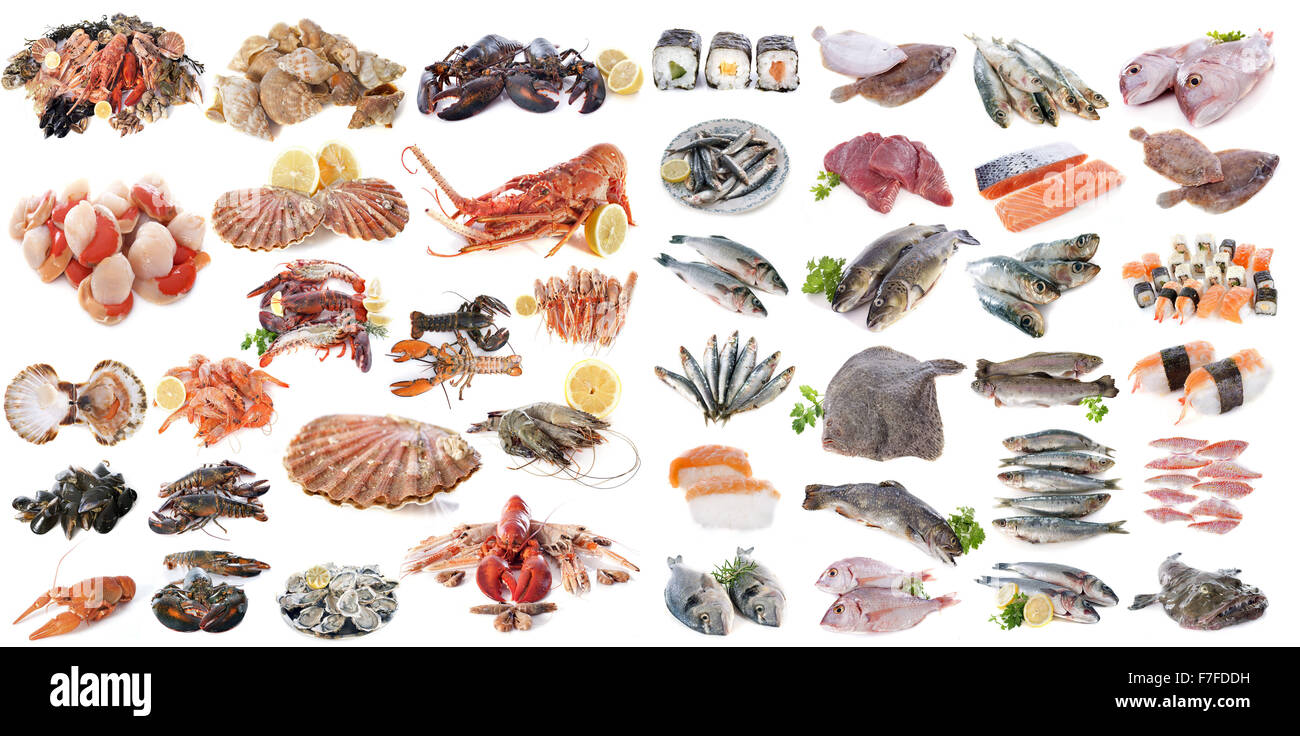 seafood, fishes and shellfish in front of white background Stock Photo ...