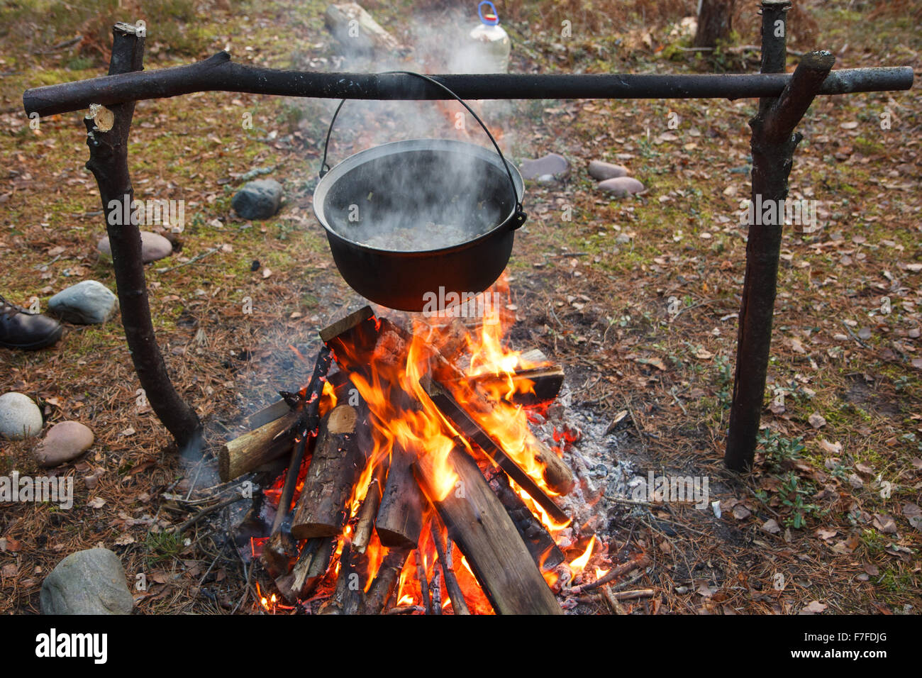 Cooking in forest Stock Photo - Alamy