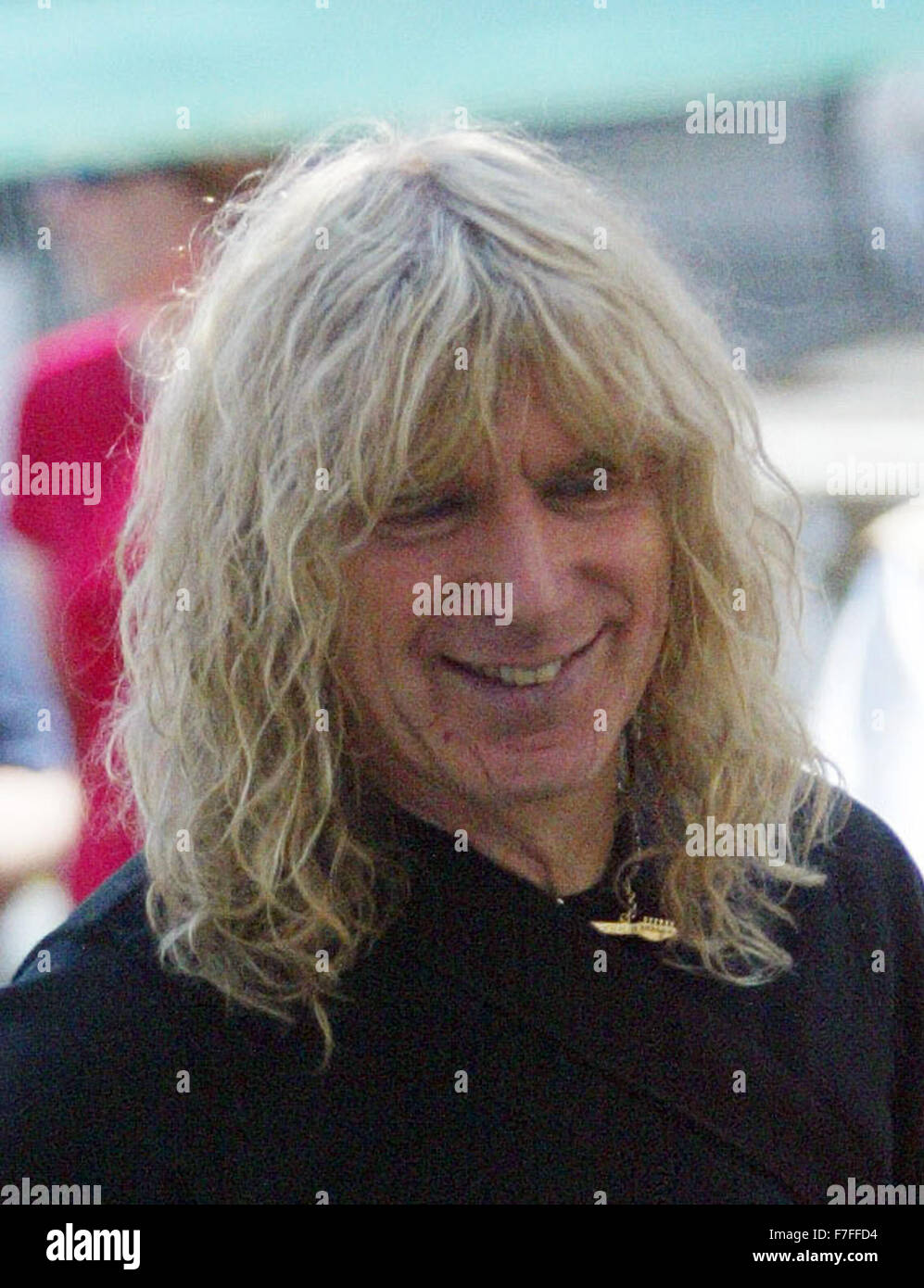 Dog rock star hi-res stock photography and images - Alamy