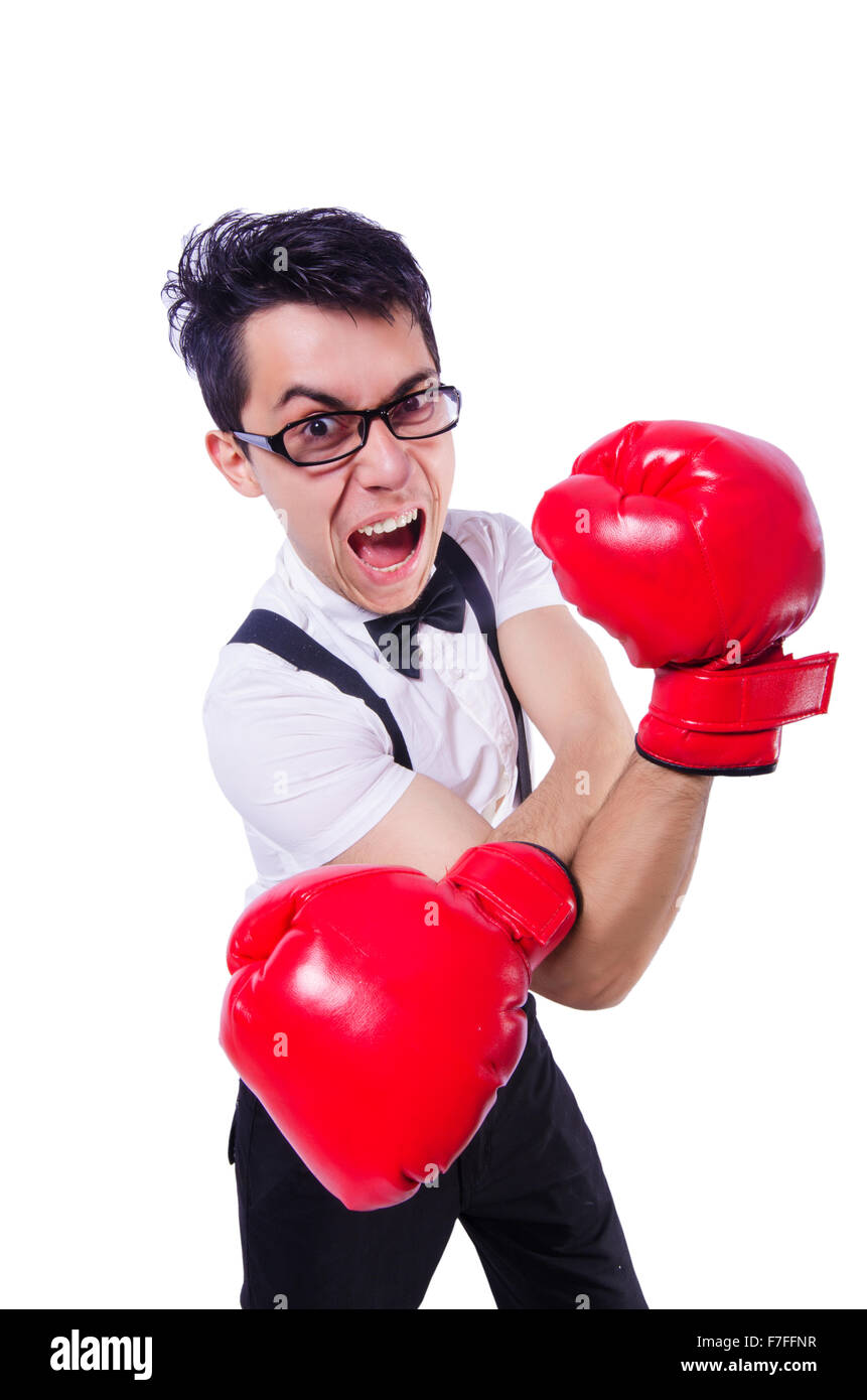 Funny boxer isolated on the white background Stock Photo - Alamy
