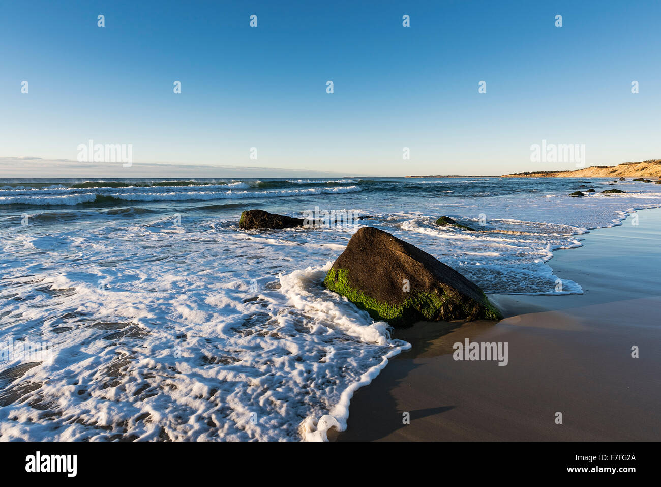 Lucy Vincent Beach, Chilmark, Martha's Vineyard, Massachusetts, USA Stock Photo - Alamy