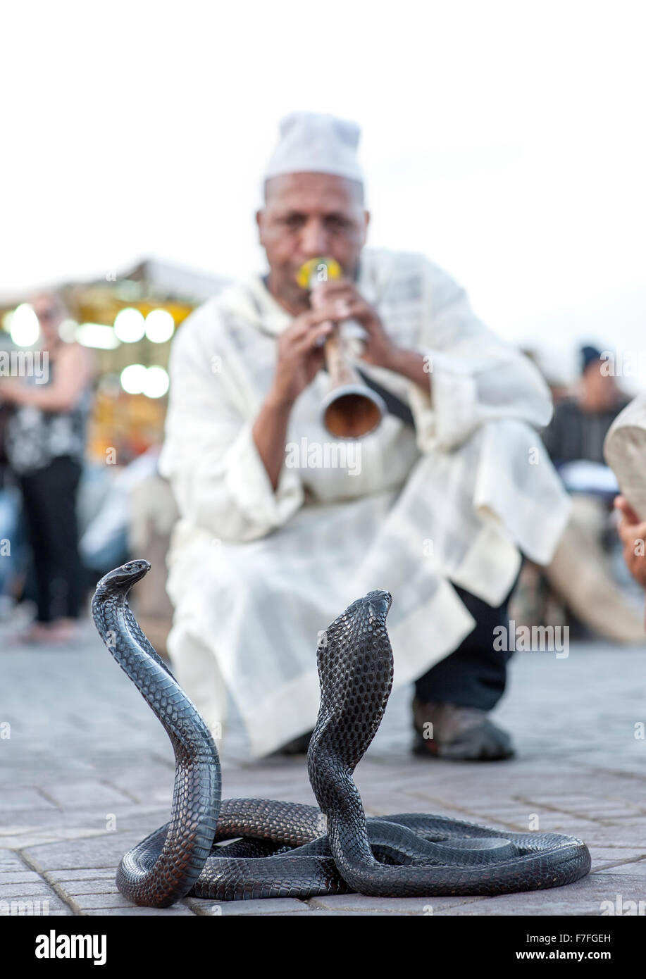 Two mouth snake hi-res stock photography and images - Alamy