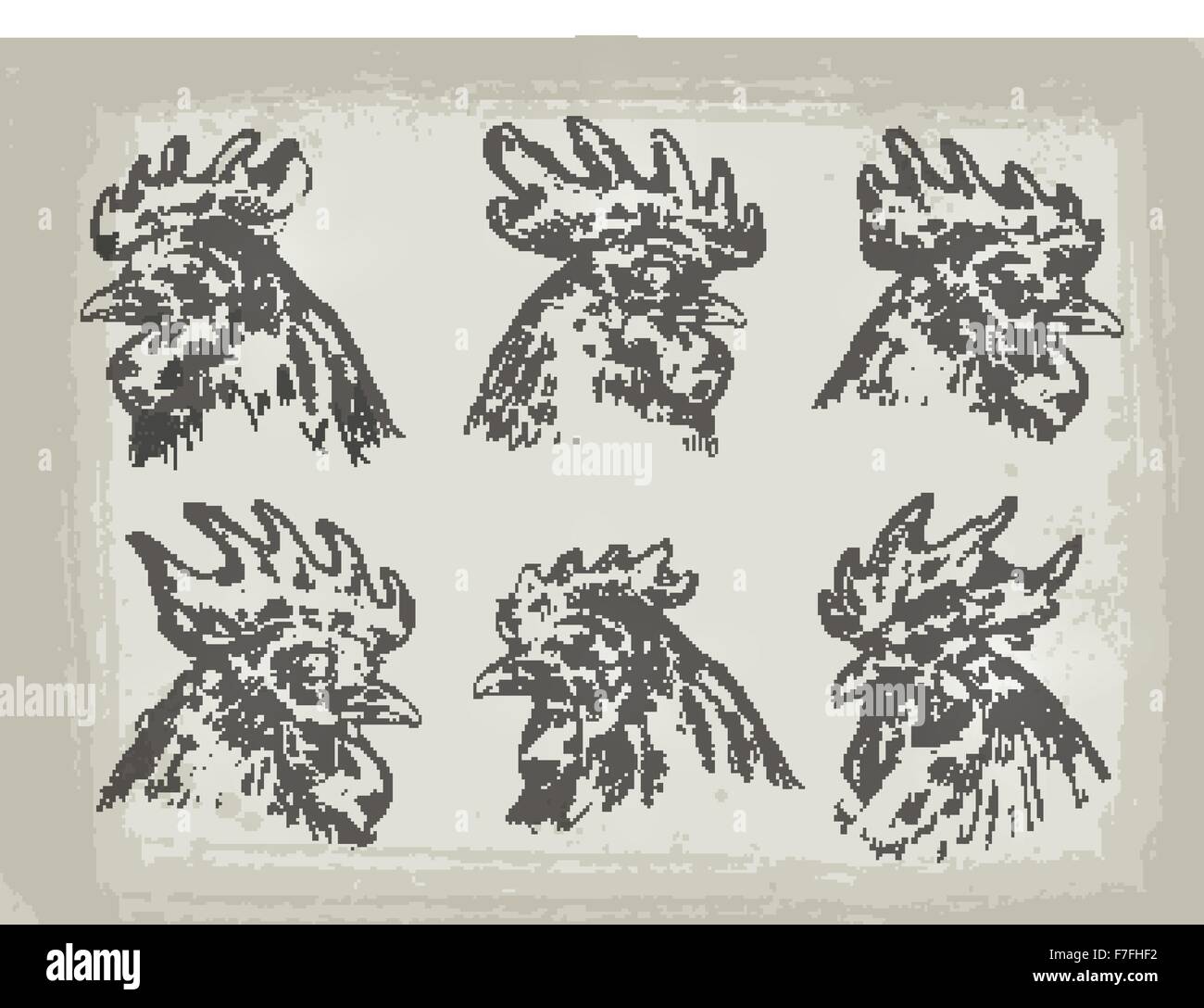 collection of hand drawn chicken. vector illustration Stock Vector ...