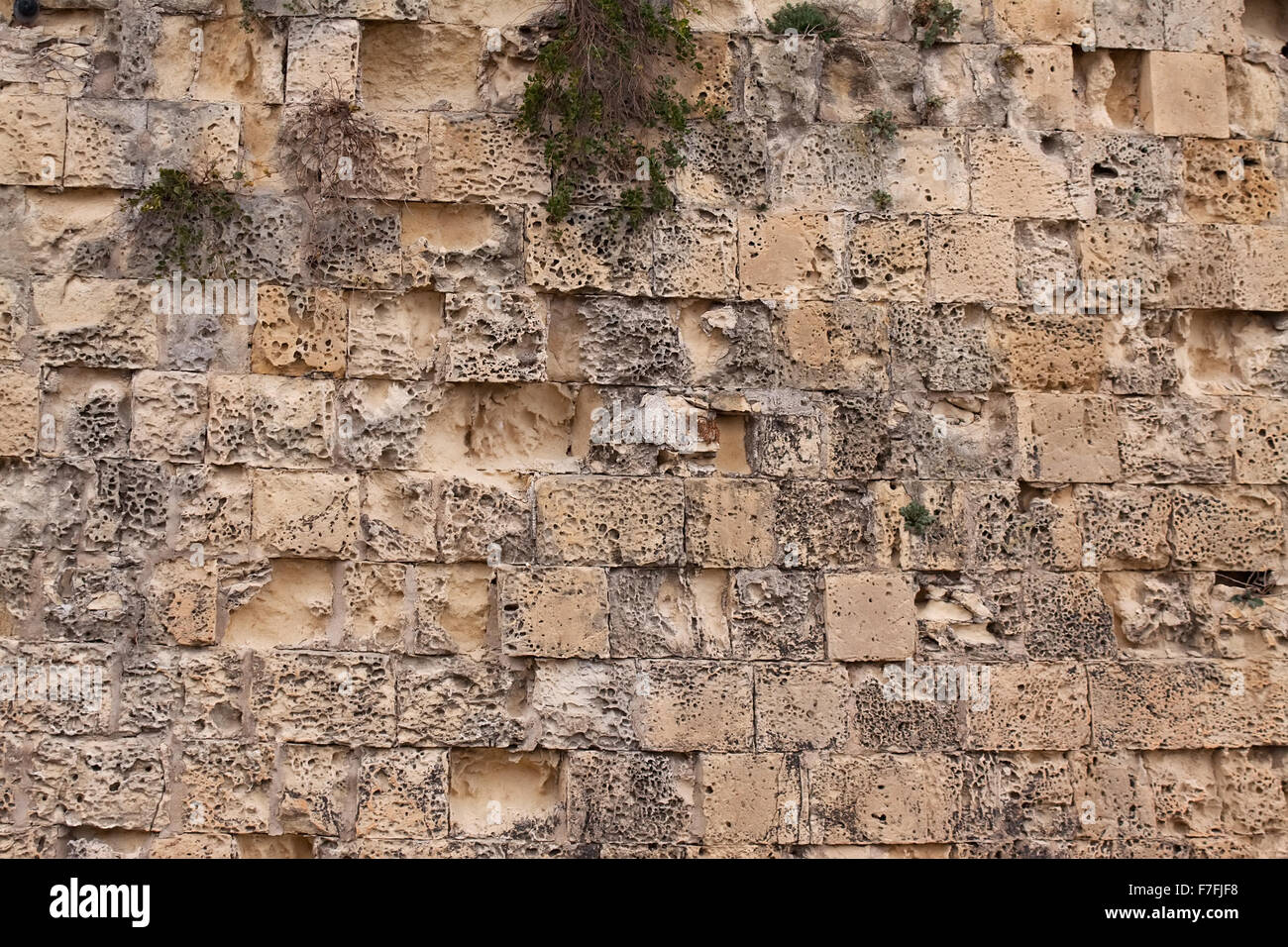 Ancient stone wall texture. Walls of times of knights. Malta Stock ...