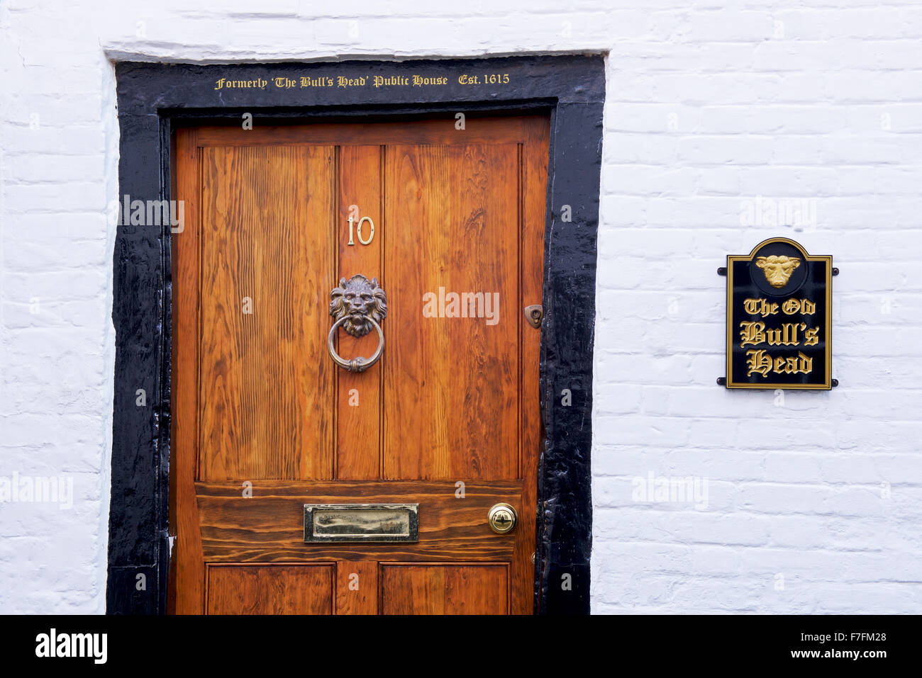 Old bulls hi-res stock photography and images - Alamy
