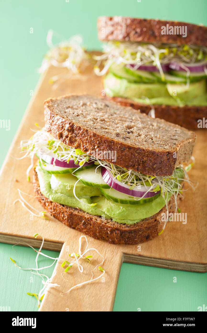 healthy avocado sandwich with cucumber alfalfa sprouts onion Stock ...