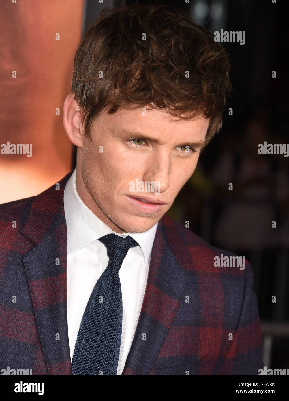 EDDIE REDMAYNE English film actor in November 2015. Photo Jeffrey Mayer ...