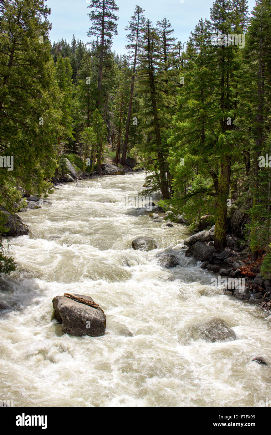 River running through the forest Stock Photo - Alamy