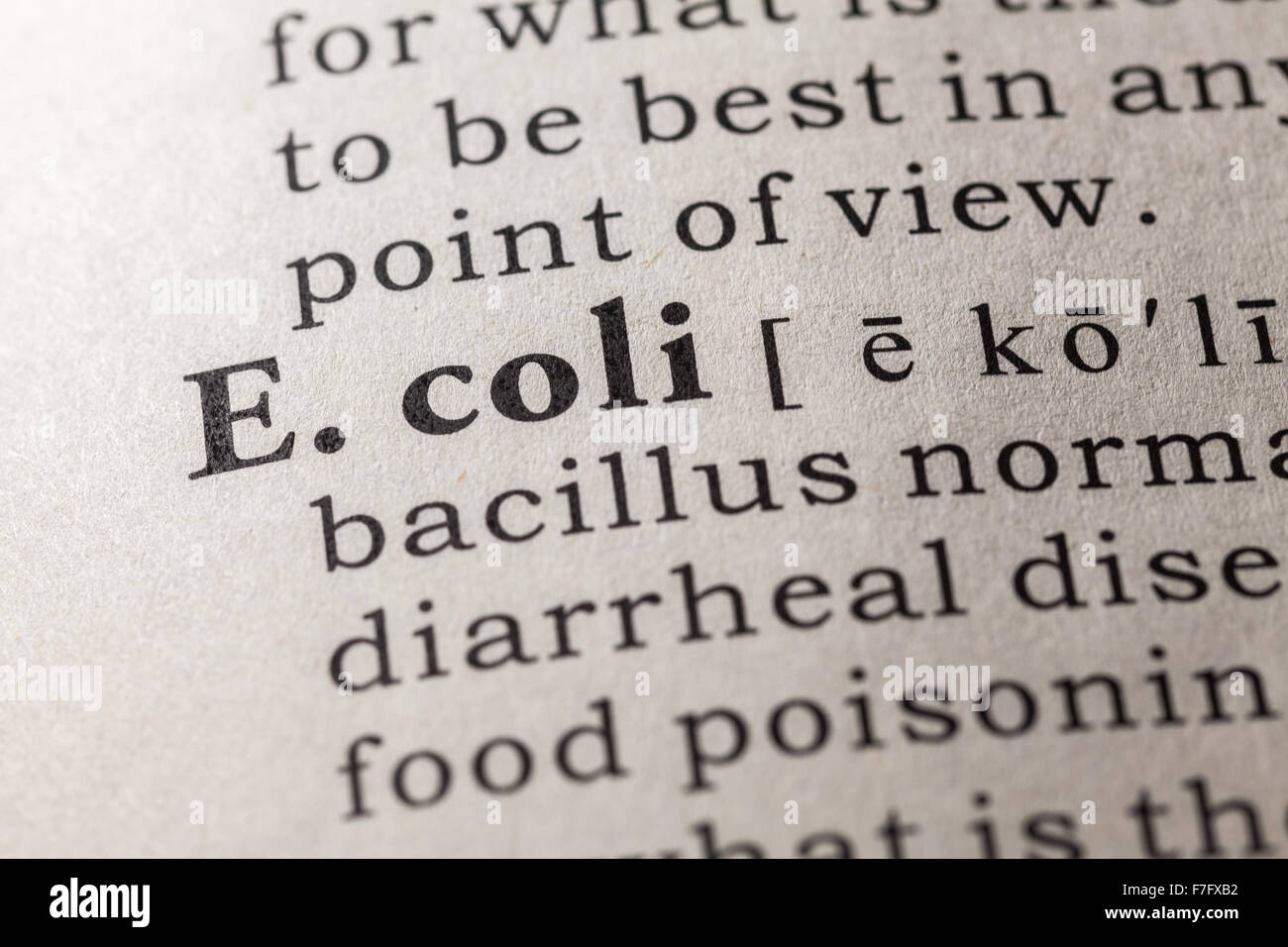 E coli hi-res stock photography and images - Alamy
