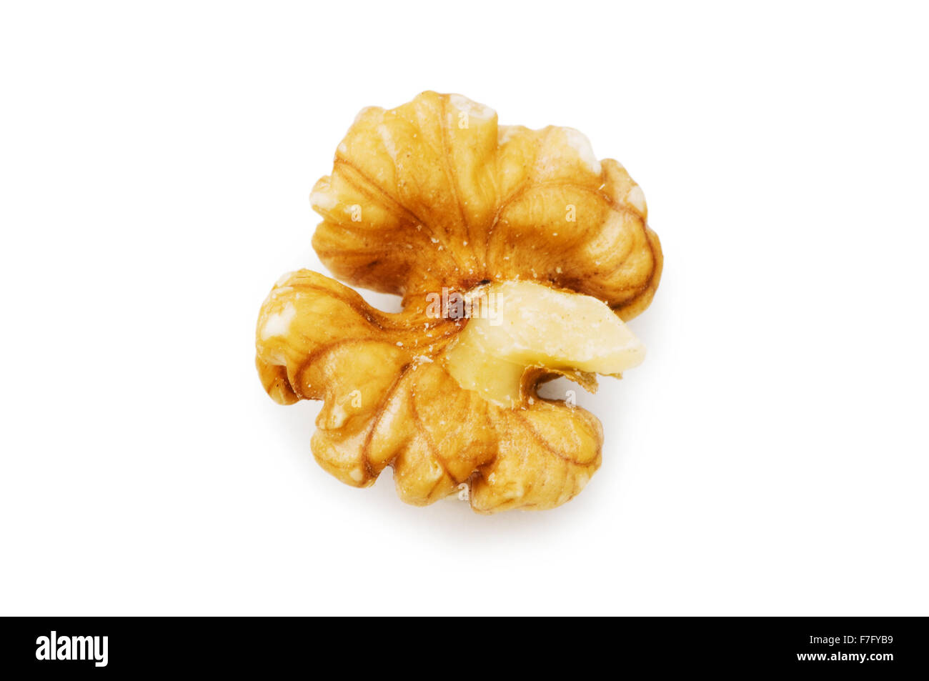 Fresh walnut isolated on the white background Stock Photo - Alamy