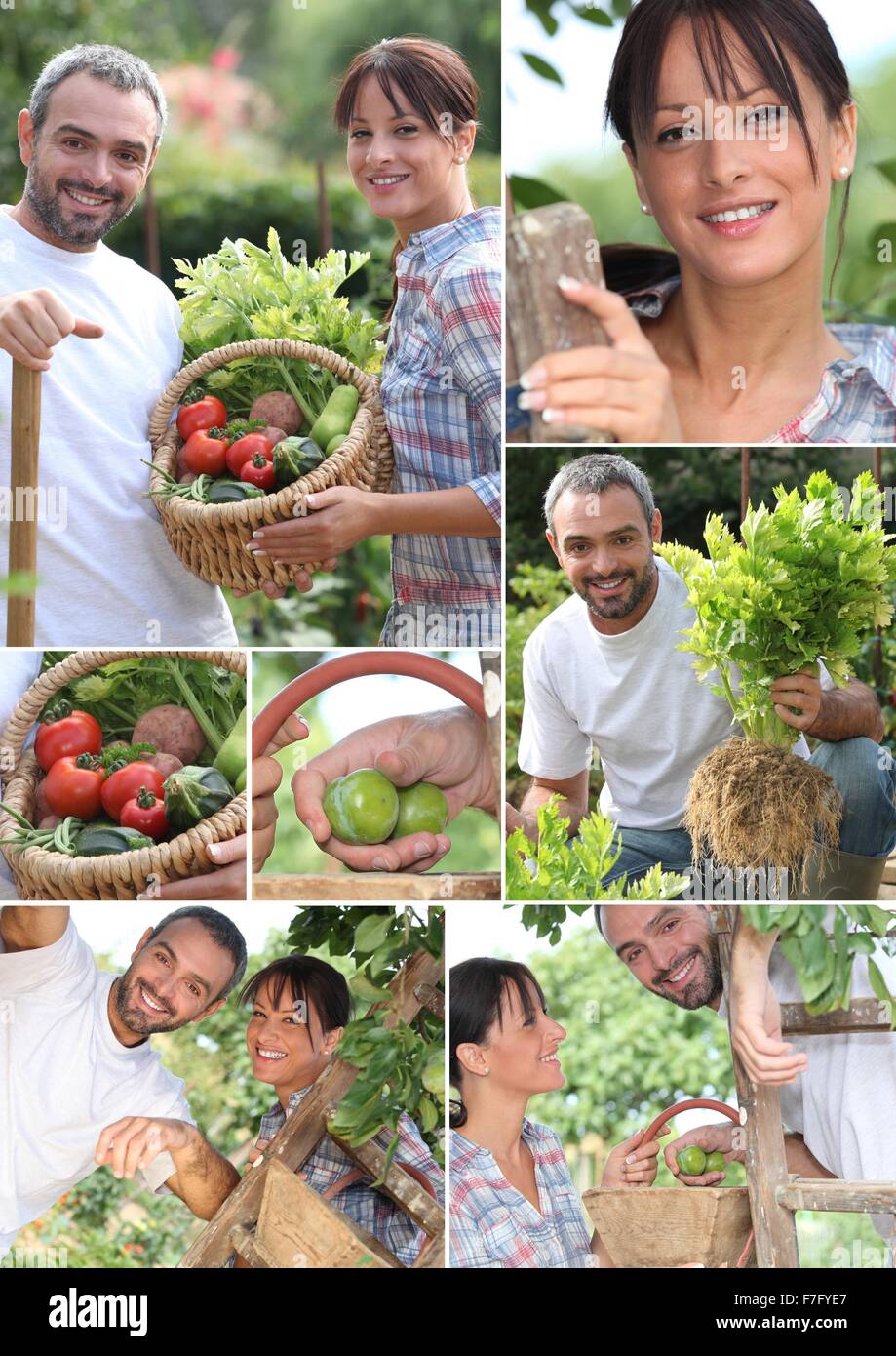 Fruit harvest montage hi-res stock photography and images - Alamy