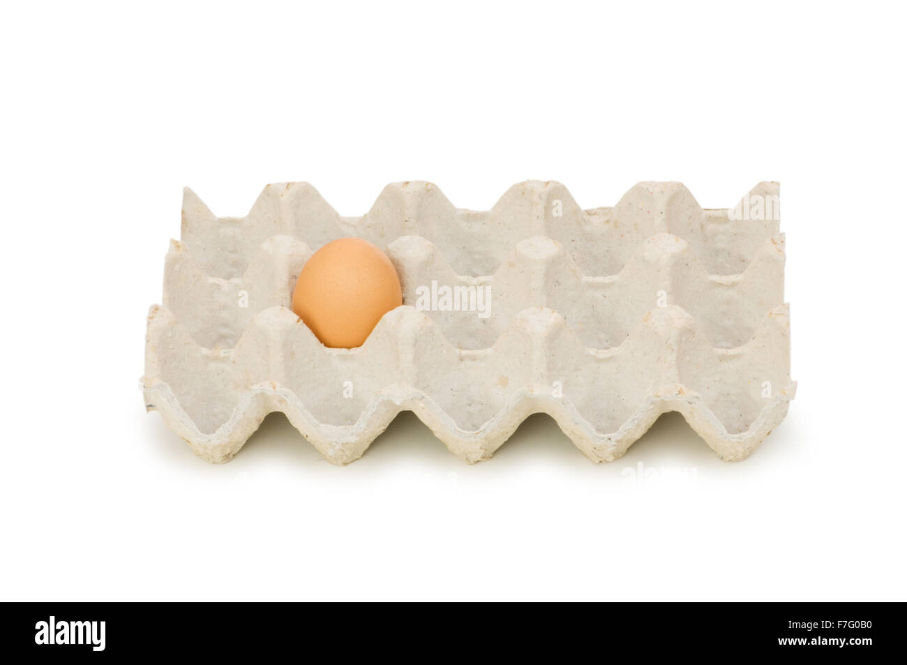 Single egg in carton isolated on white Stock Photo - Alamy