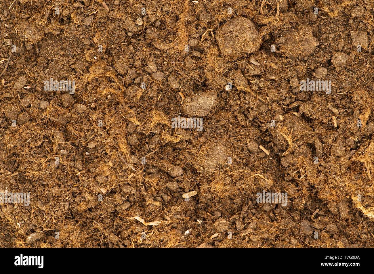 Close up of soil as a background Stock Photo - Alamy